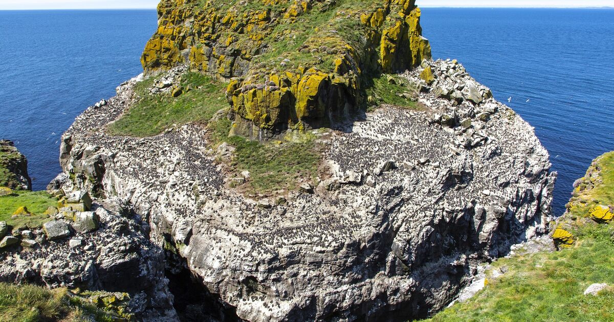 Treshnish Isles join the Trust | National Trust for Scotland