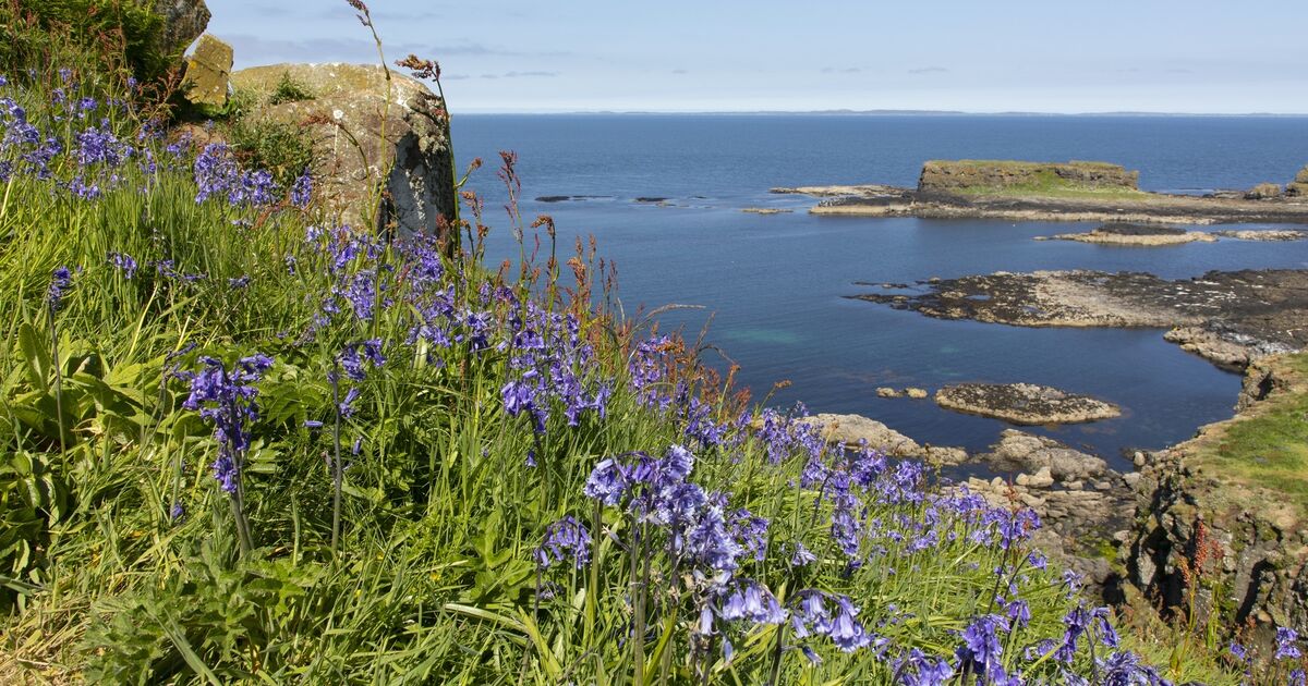 Conservation | National Trust for Scotland