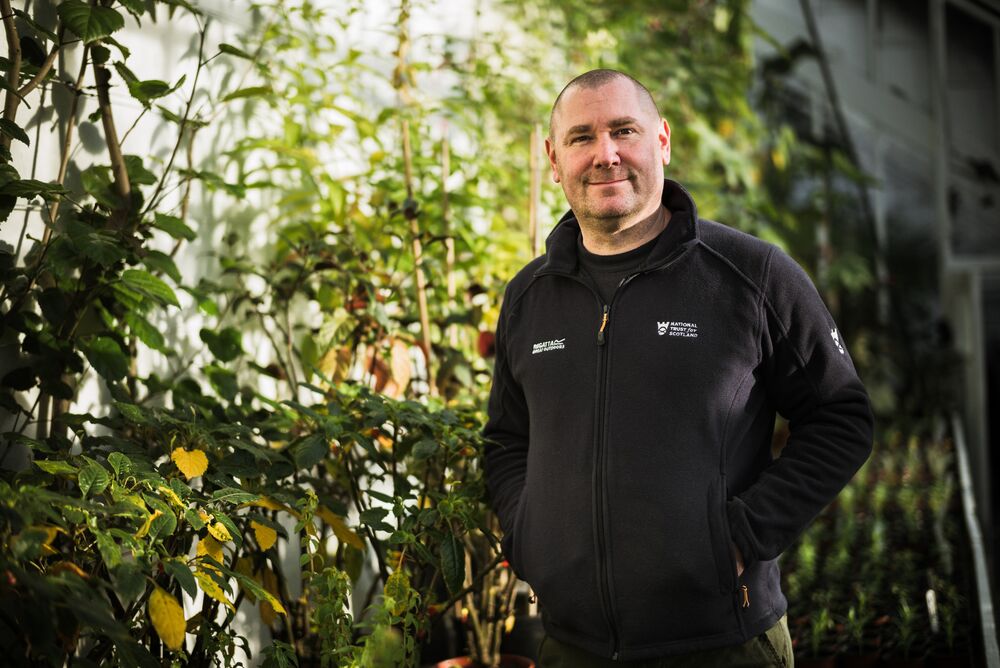Crathes Castle reinvents its rose garden | National Trust for Scotland