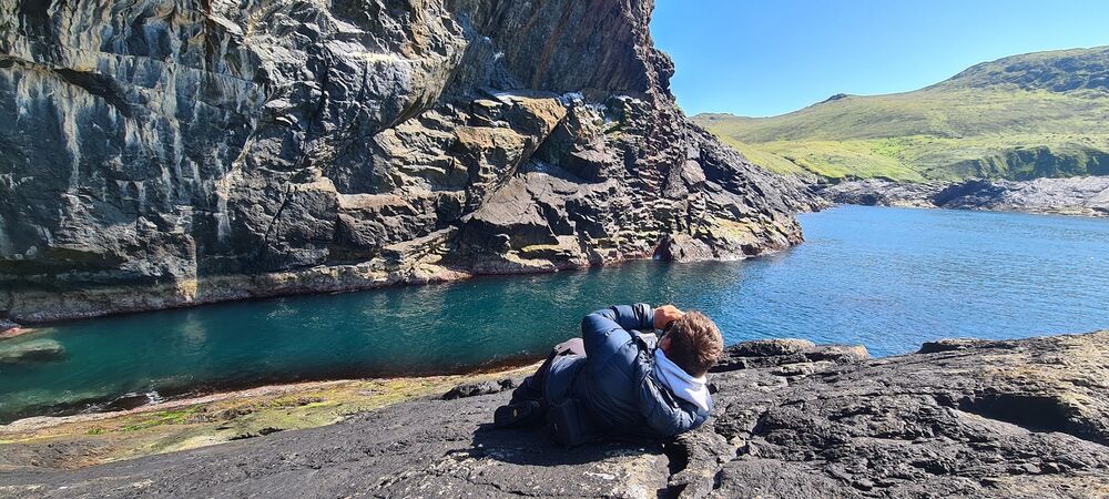 Significant seabird census completed at… | National Trust for Scotland