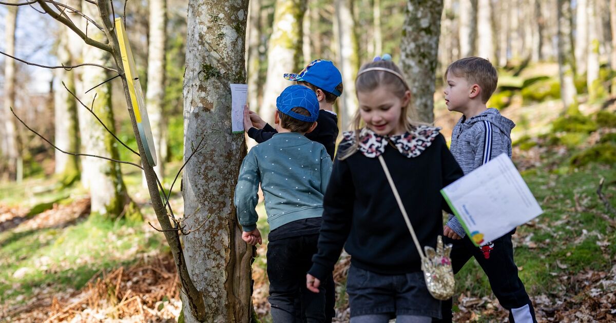 Exciting new partnership with Moo Free | National Trust for Scotland