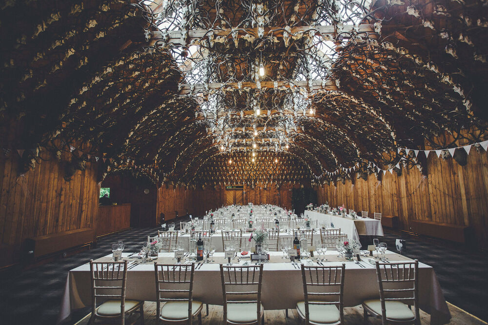 Crathes Garden blog #3: the mysteries… | National Trust for Scotland