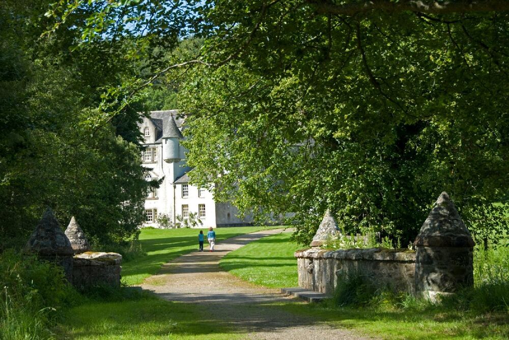 My favourite Trust trees | National Trust for Scotland
