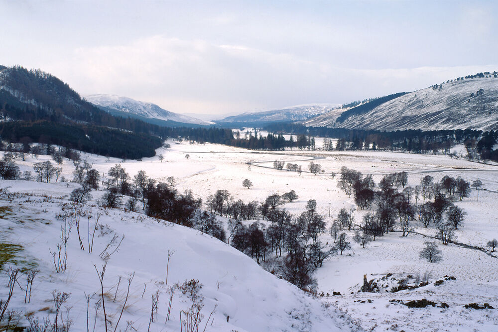 Winter walks and wildlife | National Trust for Scotland