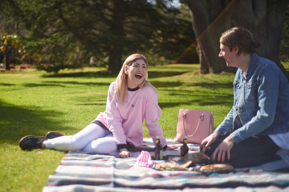 Wasps – a picnic ruined | National Trust for Scotland
