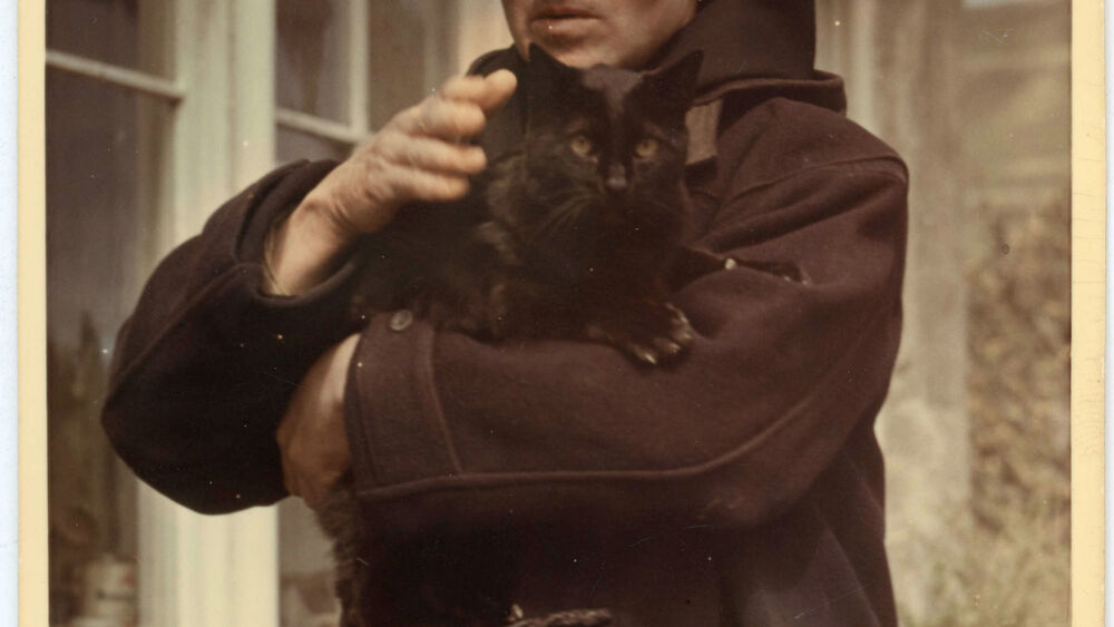 Photogenic felines | National Trust for Scotland