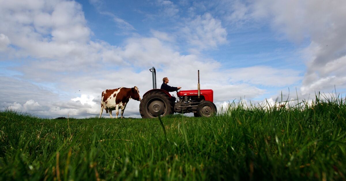 National Museum of Rural Life | National Trust for Scotland