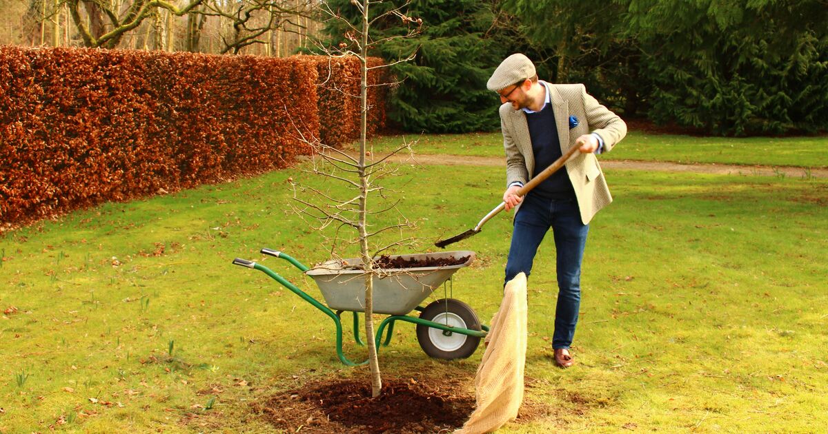 Planting trees for the jubilee | National Trust for Scotland