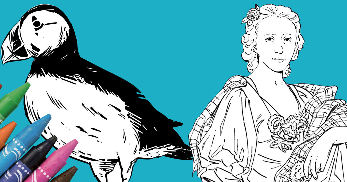 Colouring books | National Trust for Scotland