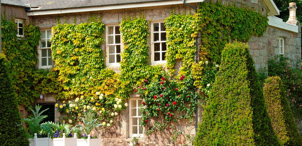 North Wing | National Trust for Scotland