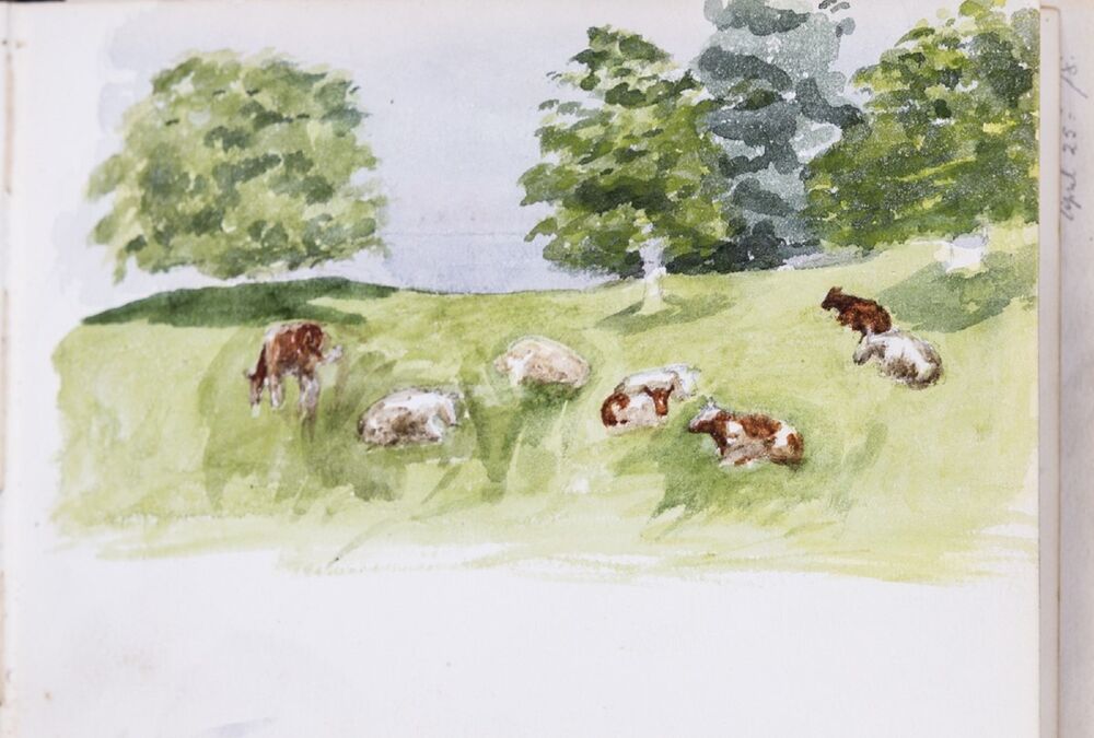 Hannah Lorimer and the pursuit of… | National Trust for Scotland