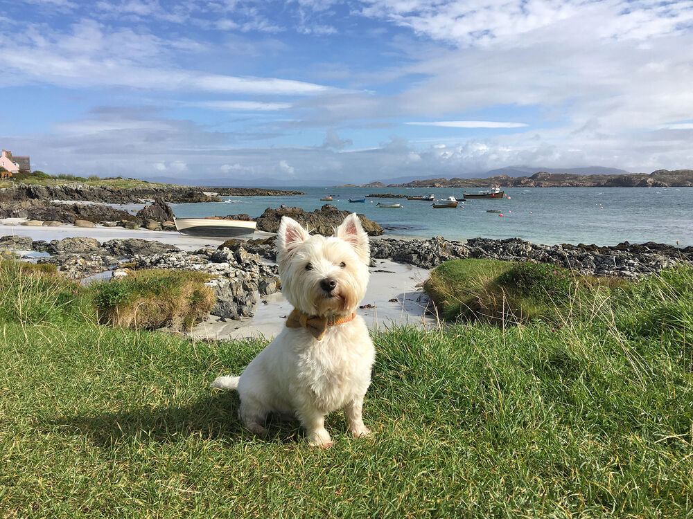 What to do on a day in Iona | National Trust for Scotland