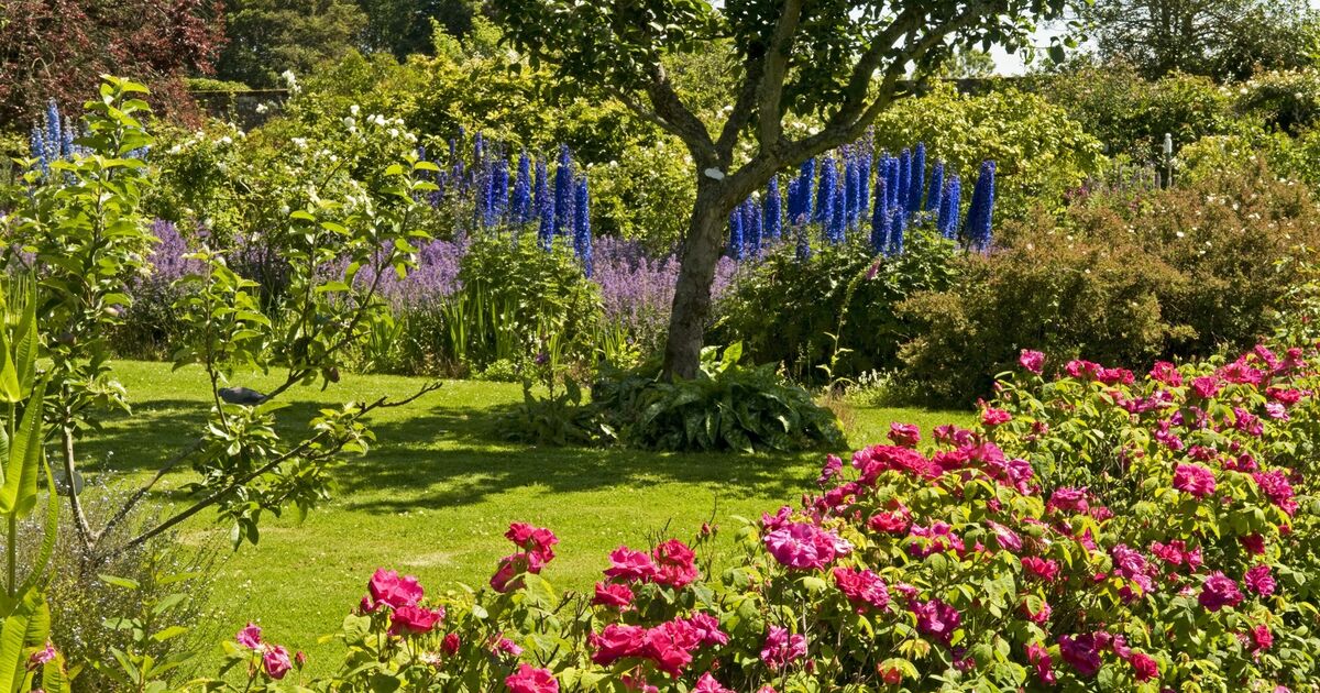 Around the world in our gardens | National Trust for Scotland