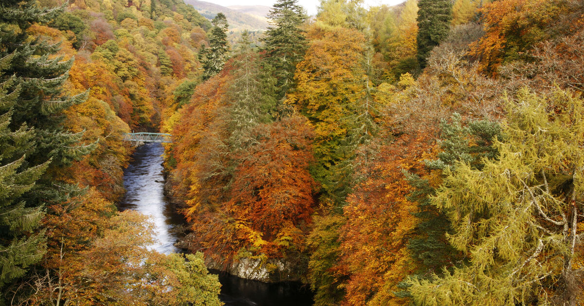 Scottish Tree Festival 2019 | National Trust for Scotland