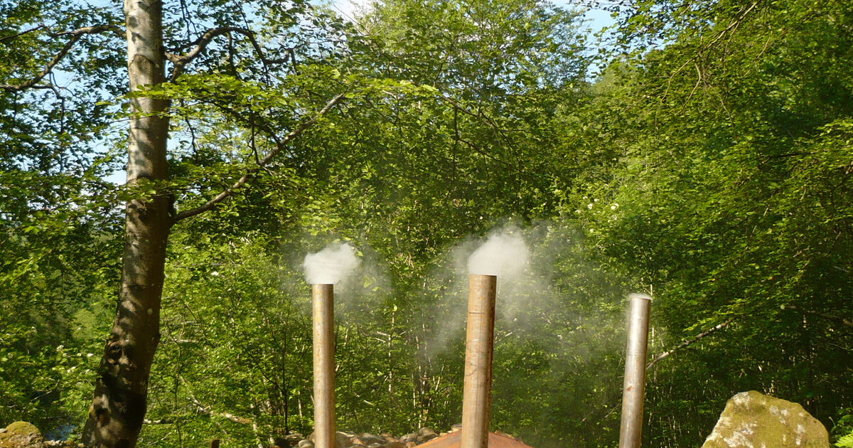 Conservation | National Trust for Scotland