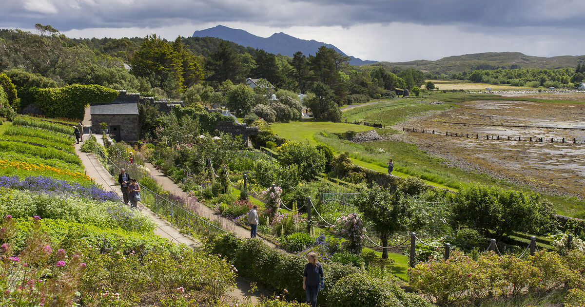 From interview to Inverewe: 100 days of… | National Trust for Scotland