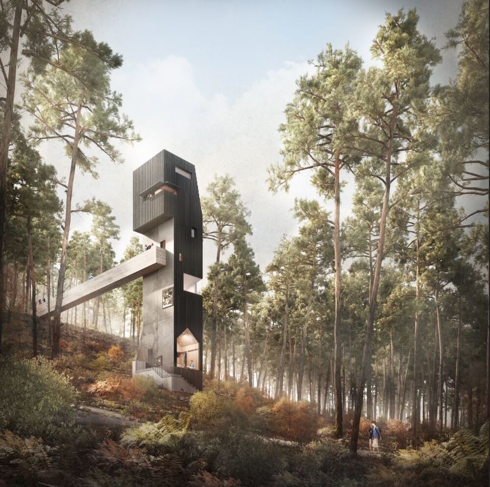 Elevating the experience at Inverewe | National Trust for Scotland