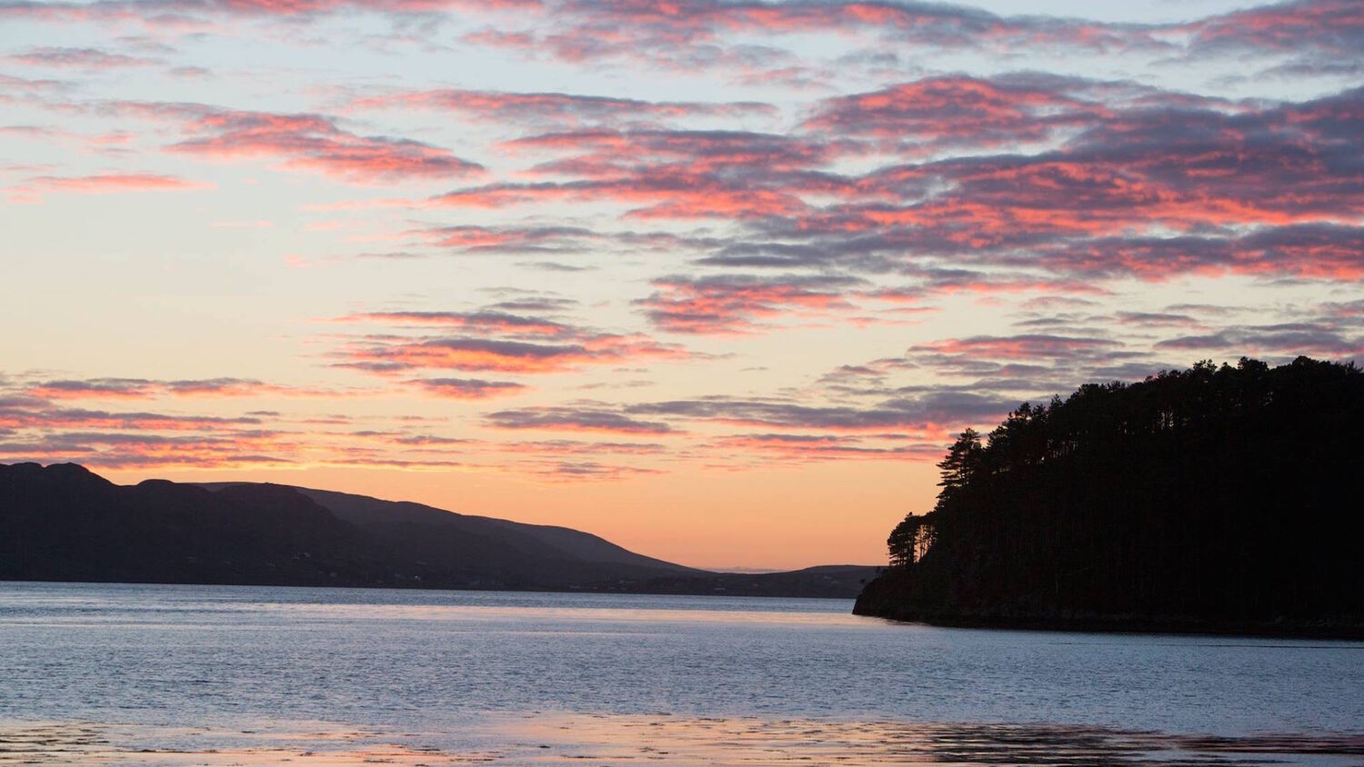 Elevating the experience at Inverewe | National Trust for Scotland