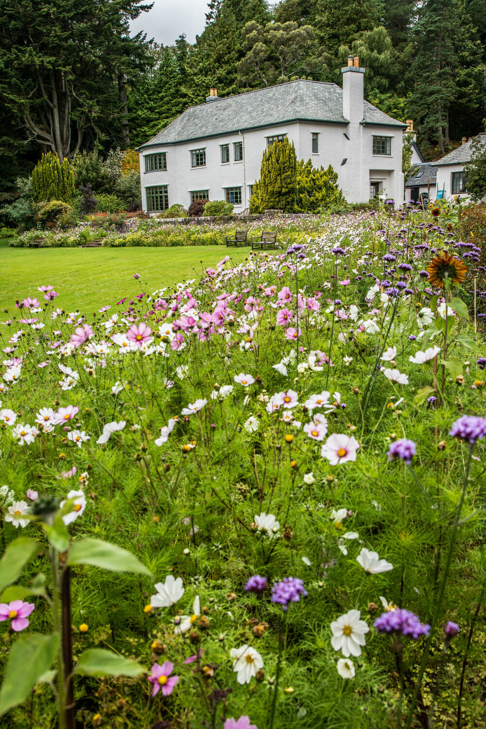 The spirit of Inverewe captured in… | National Trust for Scotland
