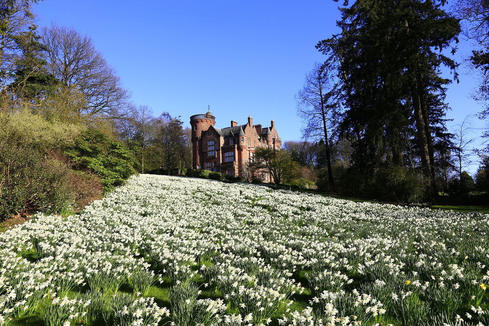 Dumfries & Galloway | National Trust for Scotland