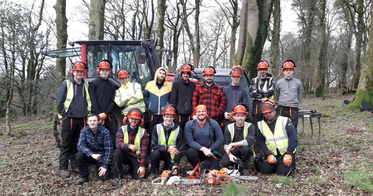 Forestry students get hands on at… | National Trust for Scotland