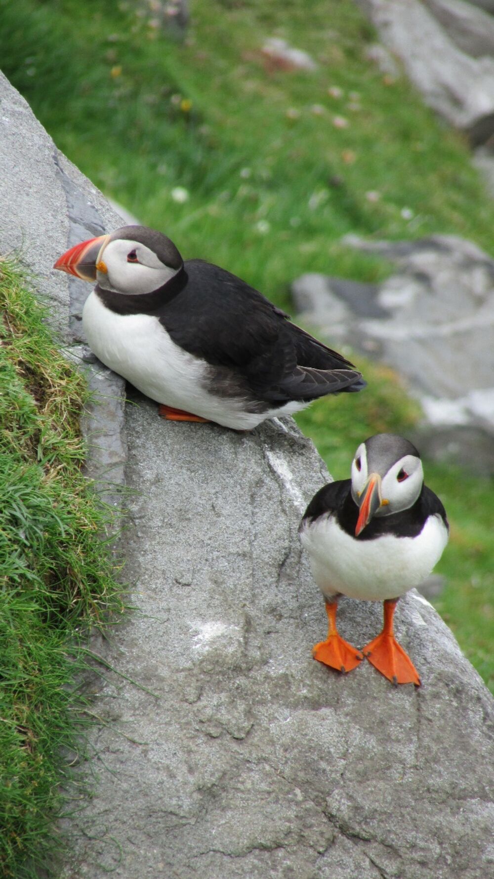 From the edge of the world: part 10 | National Trust for Scotland