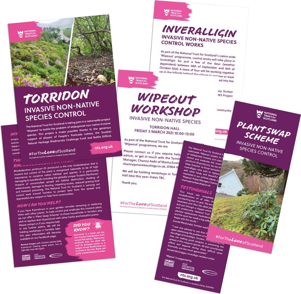The problem with Rhododendron ponticum | National Trust for Scotland