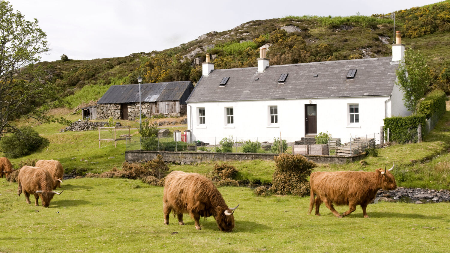 Supporting tomorrow’s crofters | National Trust for Scotland