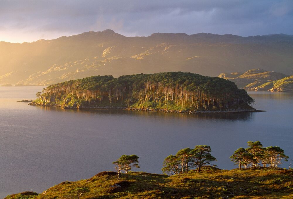 The eagle with the sunlit eye | National Trust for Scotland