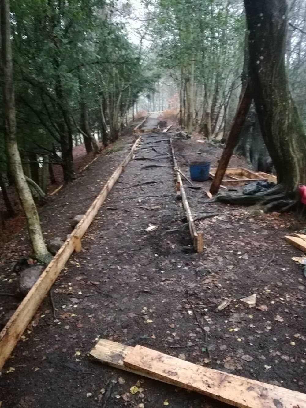 Stanley Hill footpath project | National Trust for Scotland