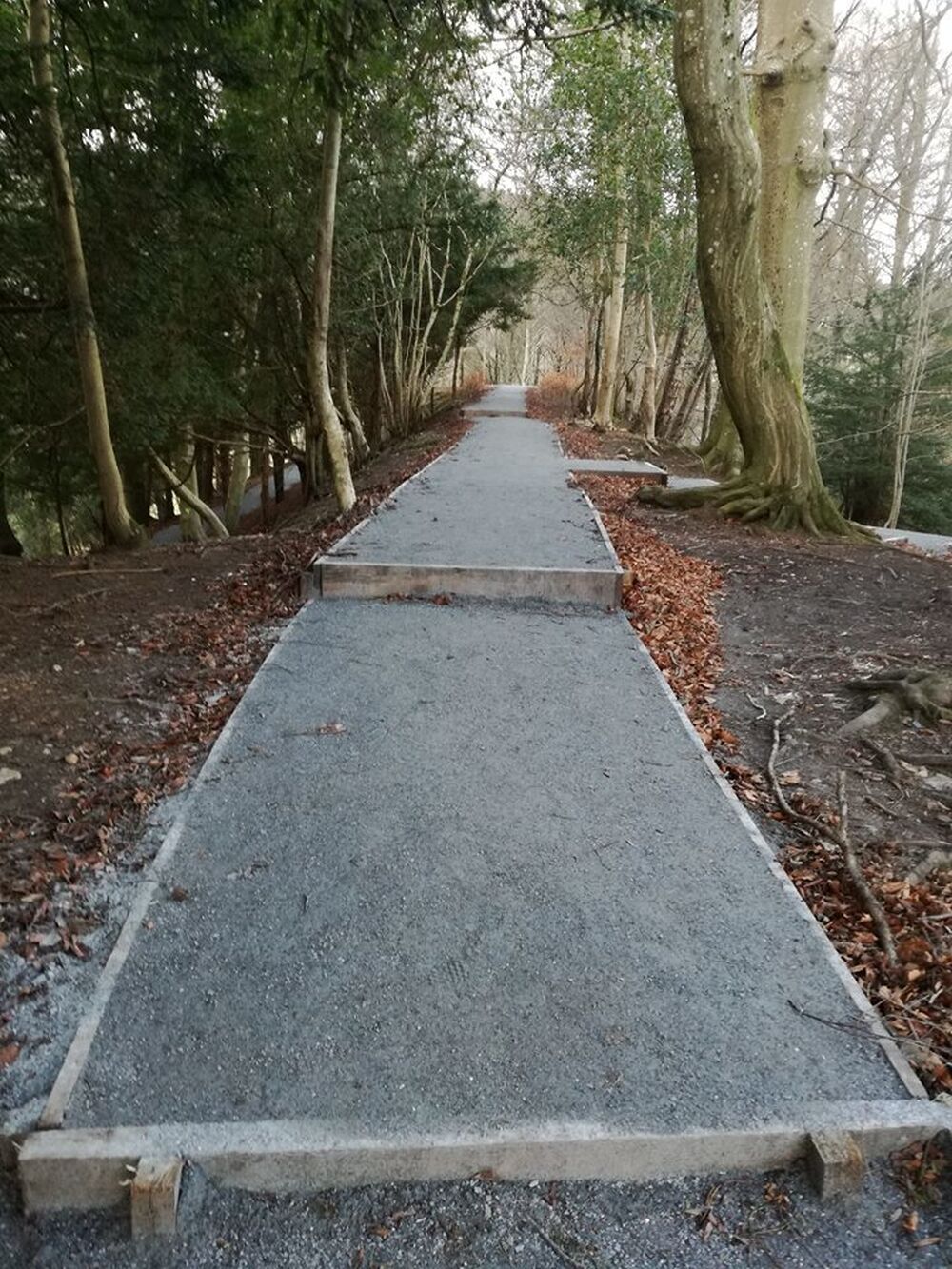 Stanley Hill footpath project | National Trust for Scotland