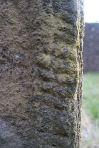 A long read | National Trust for Scotland