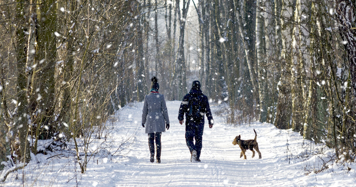 Winter walks and wildlife | National Trust for Scotland