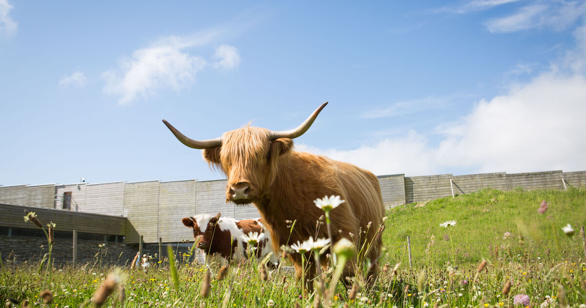 Behind the scenes this summer | National Trust for Scotland