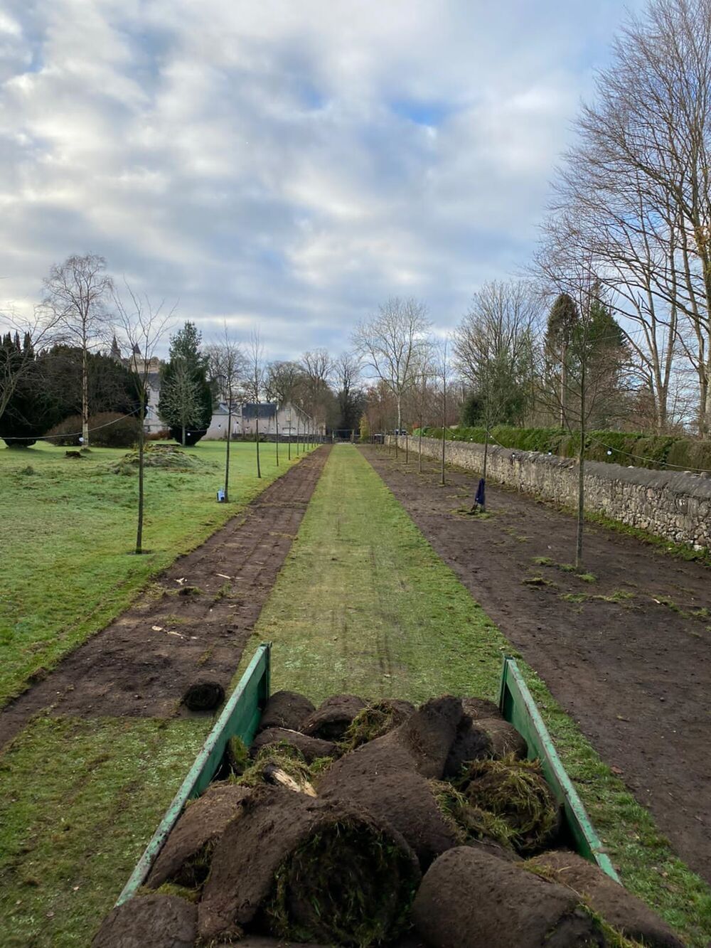 New meadow planting is a sensory… | National Trust for Scotland