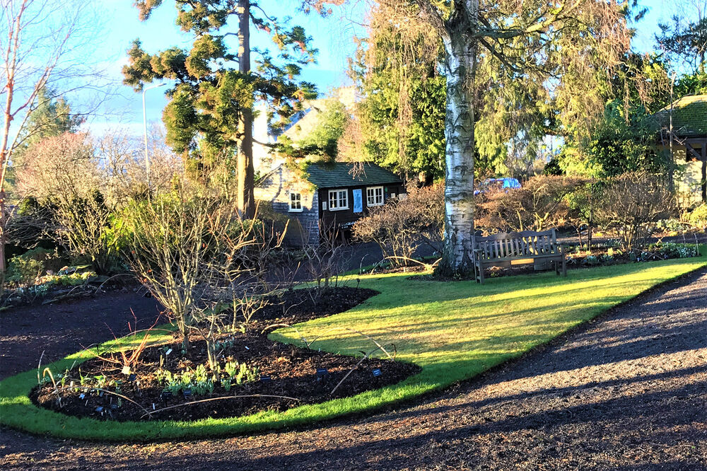 Scottish Snowdrop Festival | National Trust for Scotland
