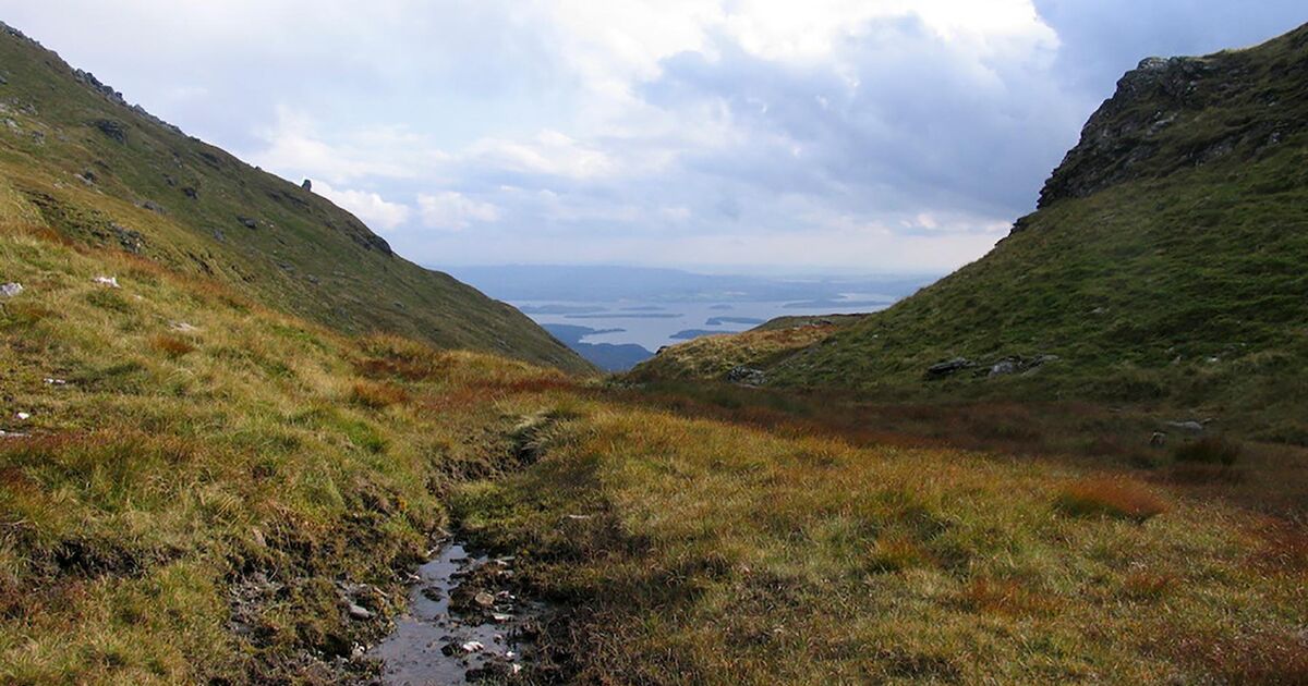 The importance of peat | National Trust for Scotland
