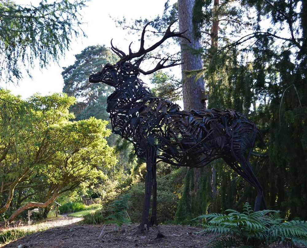 Time for reflection in gardens of… | National Trust for Scotland