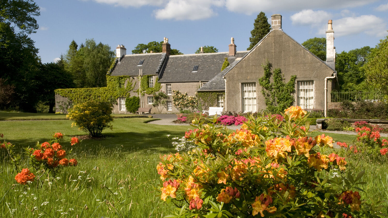 Geilston Garden summer and autumn… | National Trust for Scotland