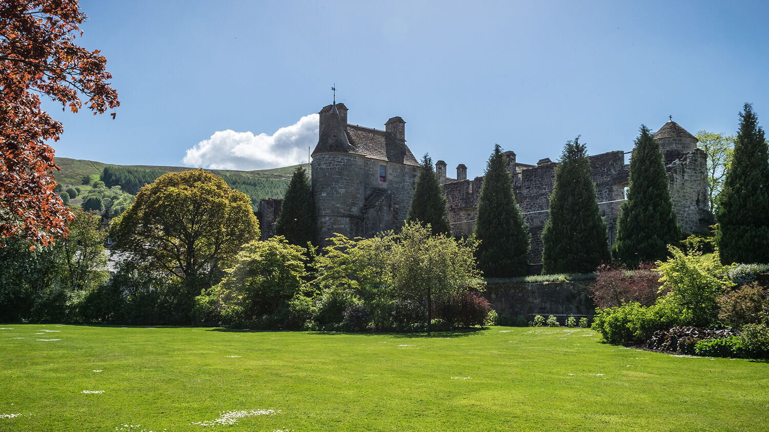 The Great Eight at Falkland Palace &… | National Trust for Scotland