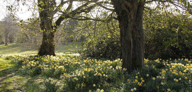 Fyvie Castle, Garden & Estate | National Trust for Scotland