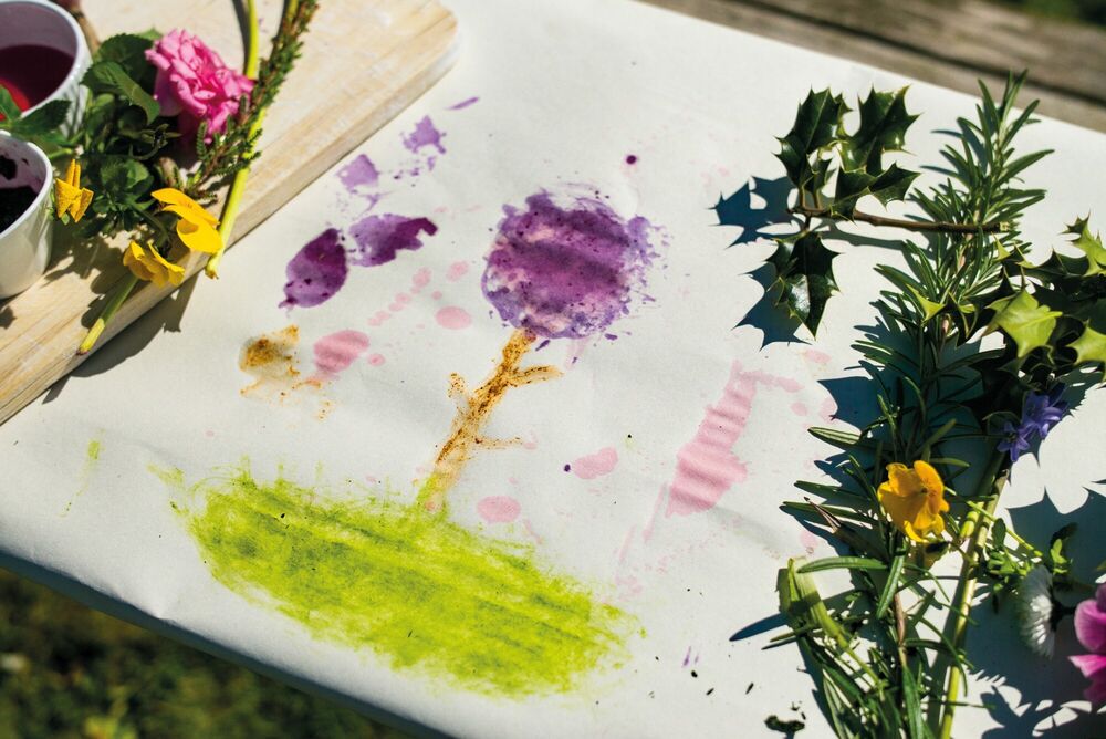 Paint with flowers | National Trust for Scotland