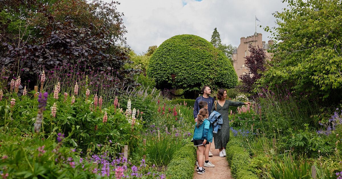 Nature, Beauty and Heritage for Everyone | National Trust for Scotland