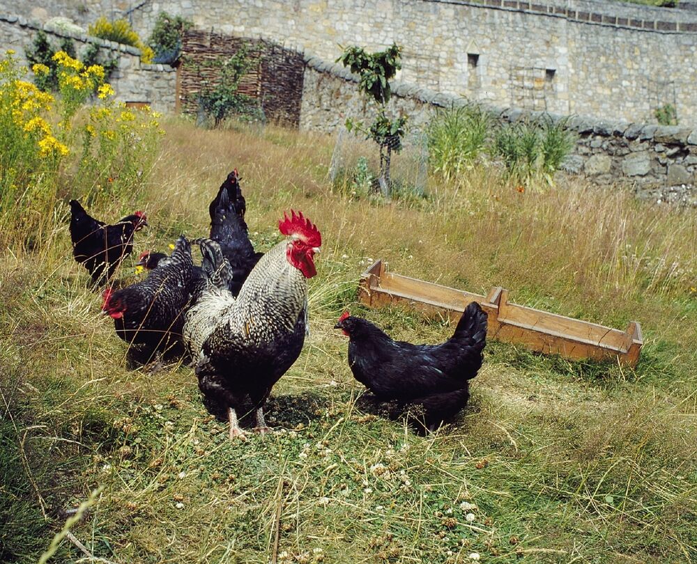 Top 10 reasons to visit Culross | National Trust for Scotland