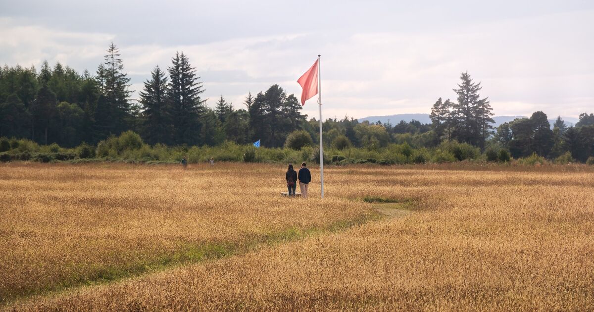 Conservation | National Trust for Scotland