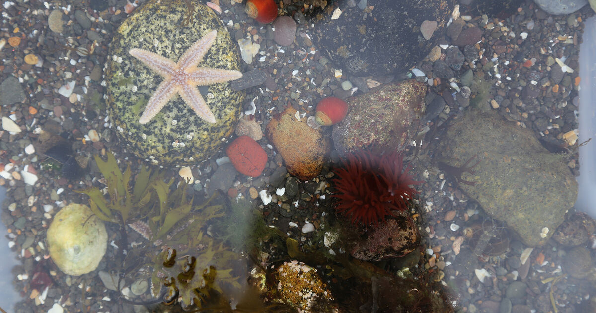 Beach | National Trust for Scotland