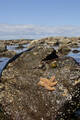 Beach | National Trust for Scotland