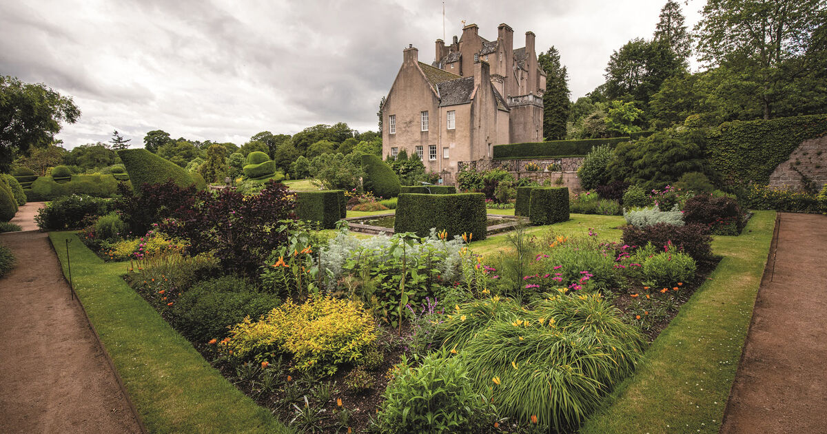 Planting for the planet | National Trust for Scotland