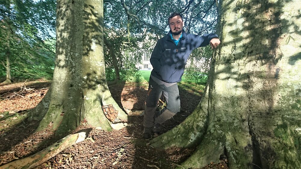 Brodie bids farewell to favourite trees | National Trust for Scotland