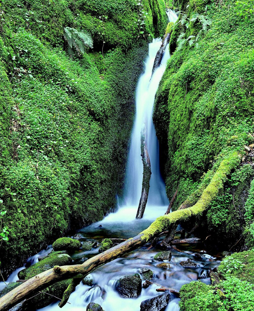 Six Scottish waterfall paradises | National Trust for Scotland